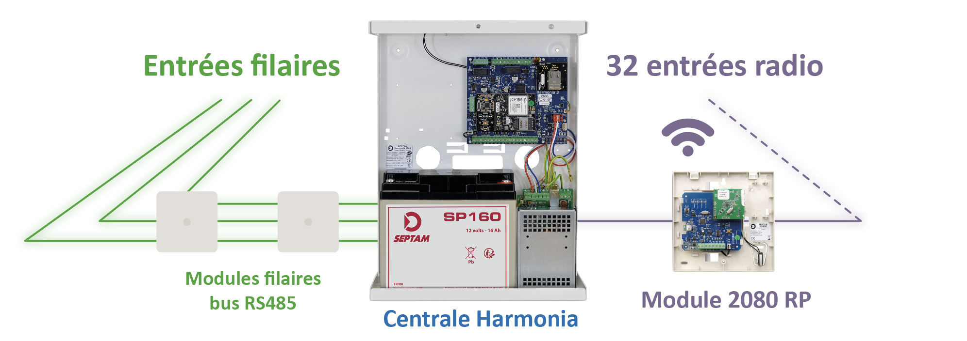 Accedia Distribution
